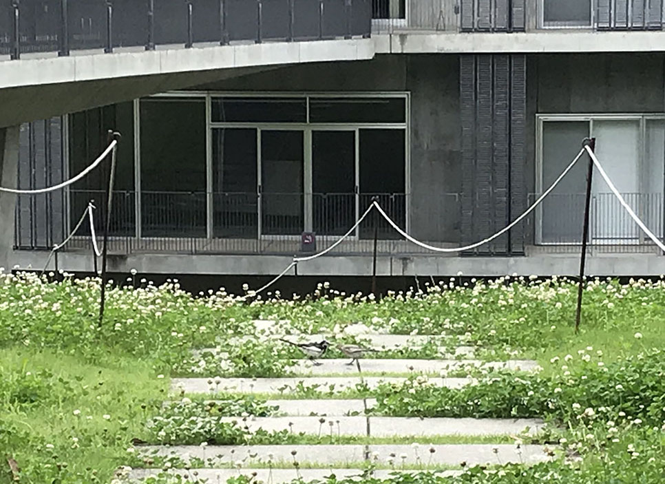 2020夏の風景 - 和光大学芸術学科-Dept. of Art, Wako University