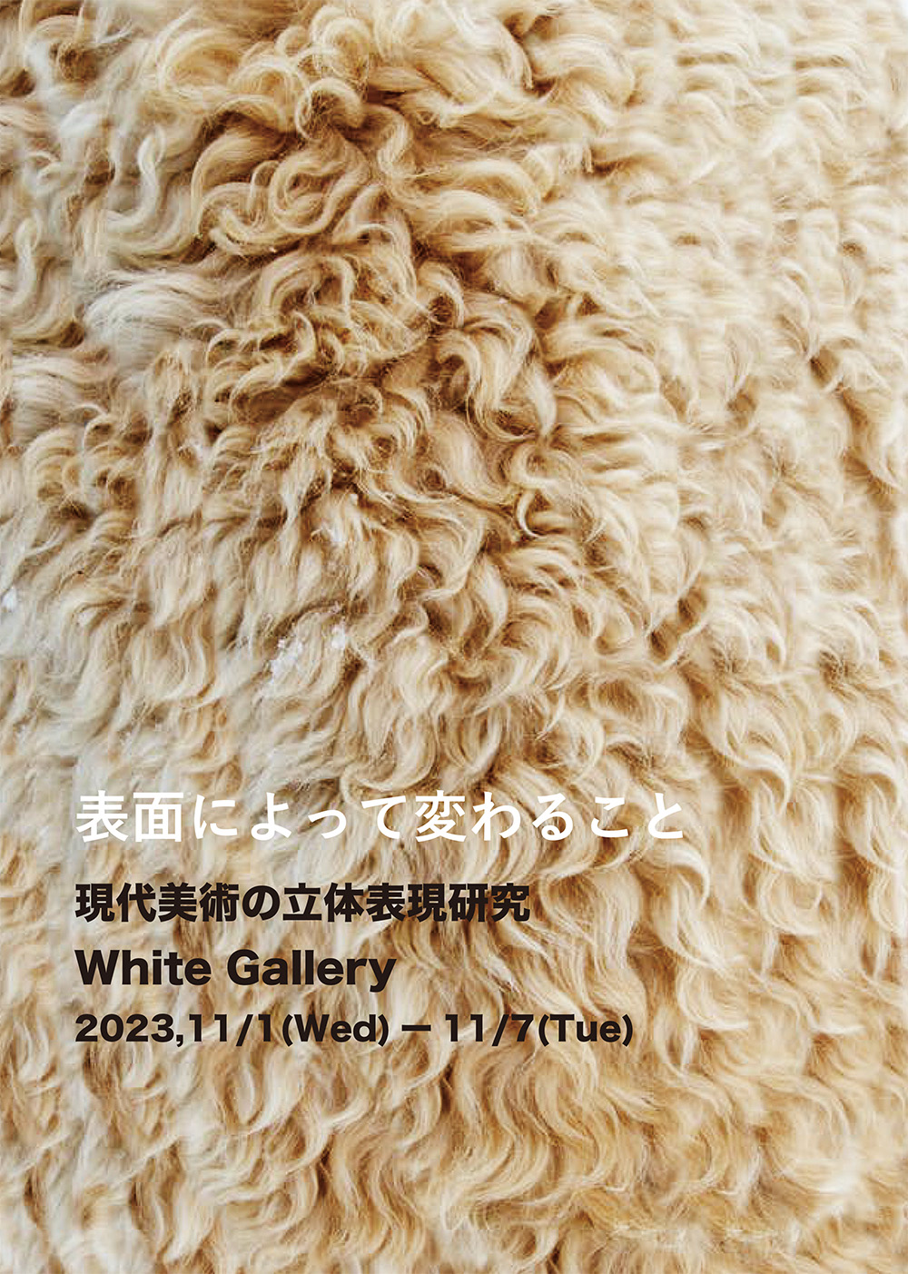 11/1-11/7 「現代美術の立体表現研究」 展覧会 - 和光大学芸術学科-Dept. of Art, Wako University